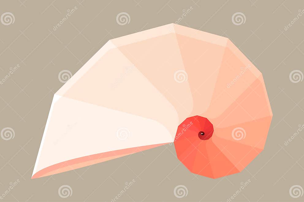 Geometric Nautilus Shell Symbol Stock Vector - Illustration of ...