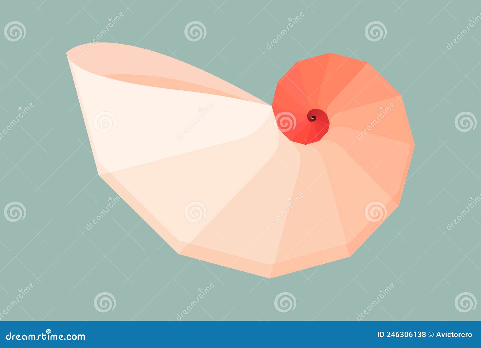 Geometric Nautilus Shell Symbol Stock Vector - Illustration of isolated ...