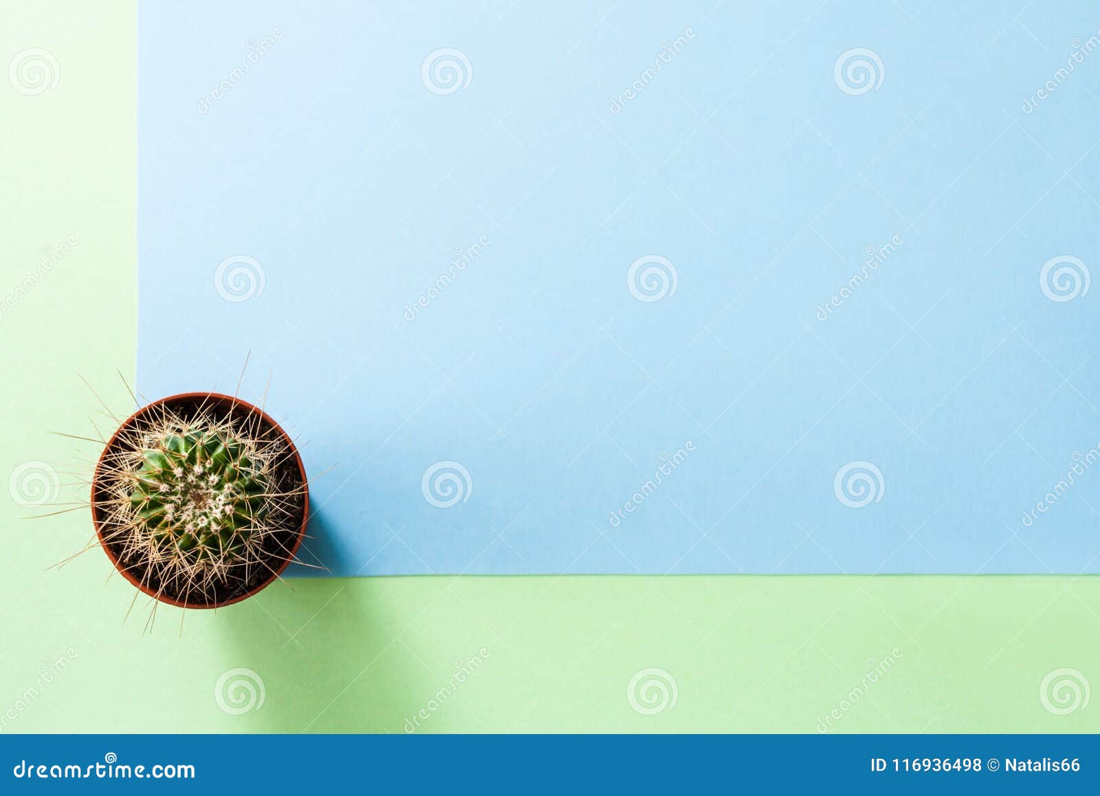 Geometric Pastel Blue-green Background with Small Cactus in Bottom ...
