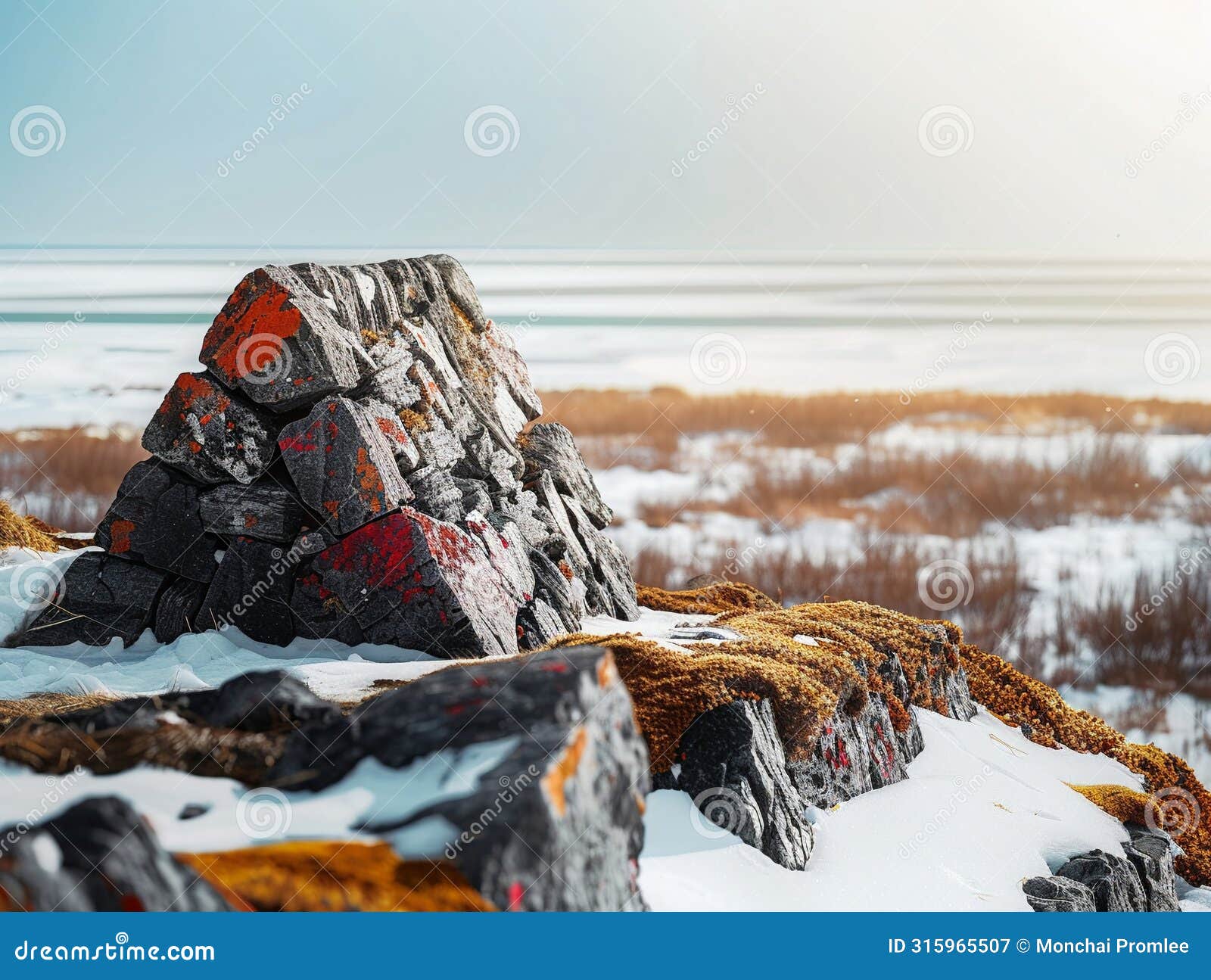 Geometric Shapes Form a Parable in the Stark Landscape of the Tundra ...