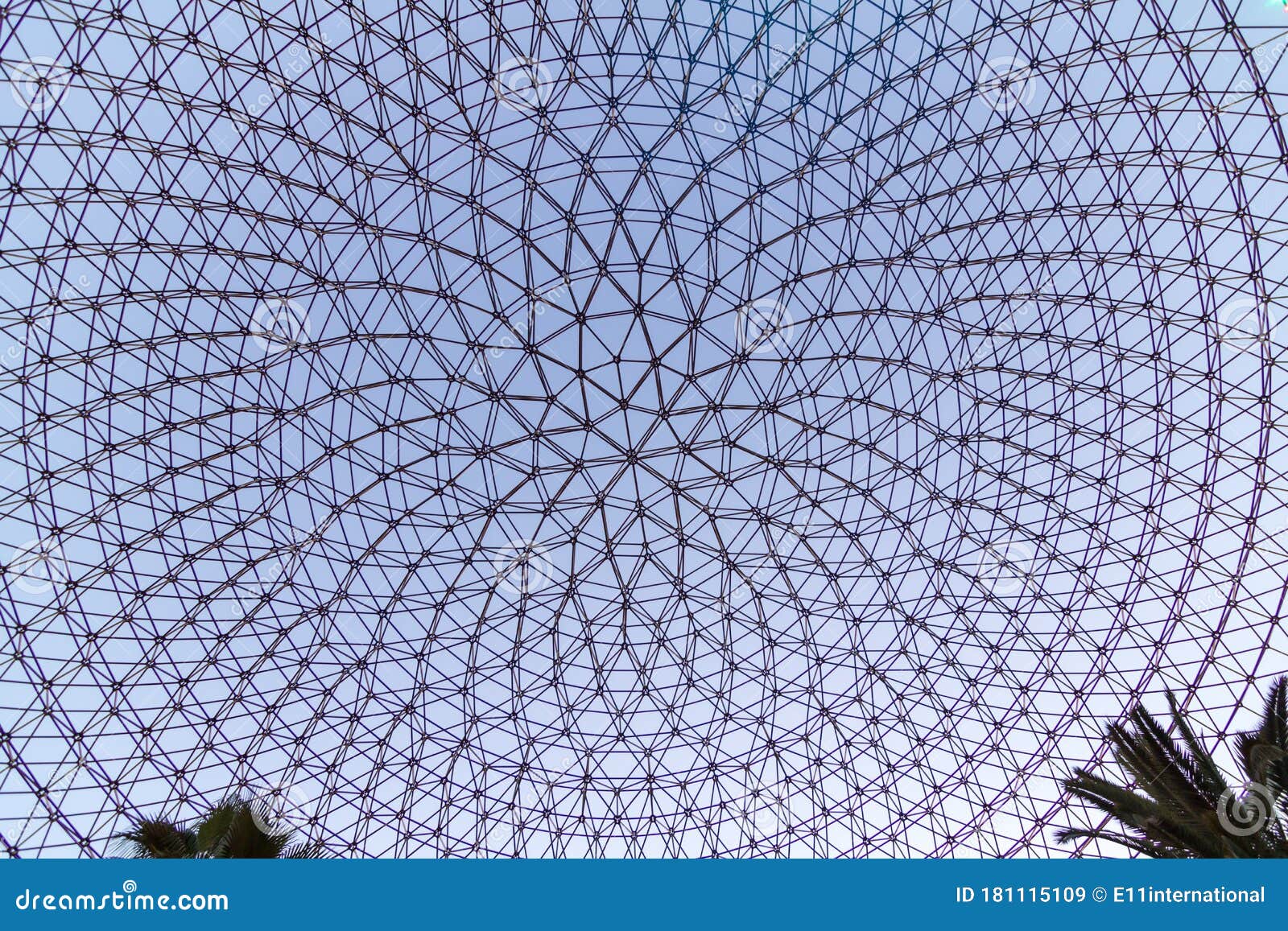 Spider On The Ceiling Stock Photo | CartoonDealer.com #92521170