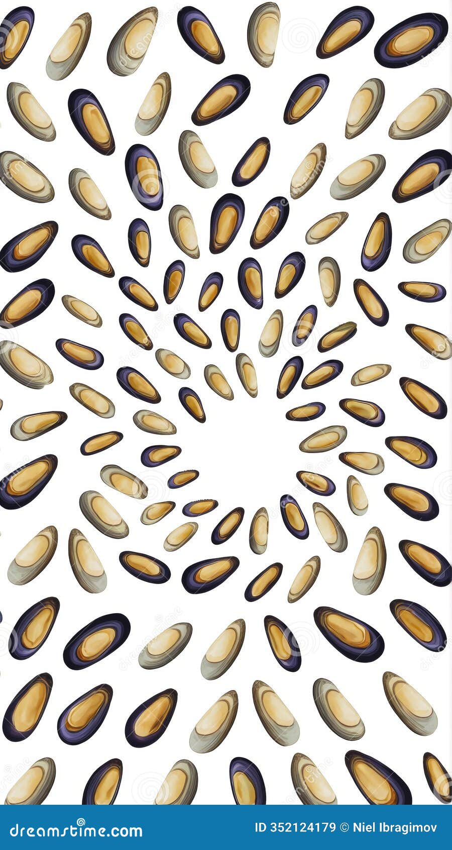 Geometric Shell Pattern: Spiral Symmetry with Seashells Stock Image ...