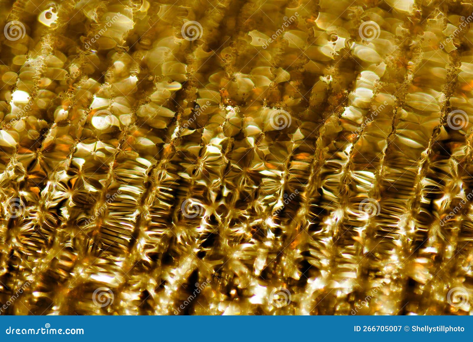 Geometric Shiny Crystal Background Stock Image | CartoonDealer.com ...