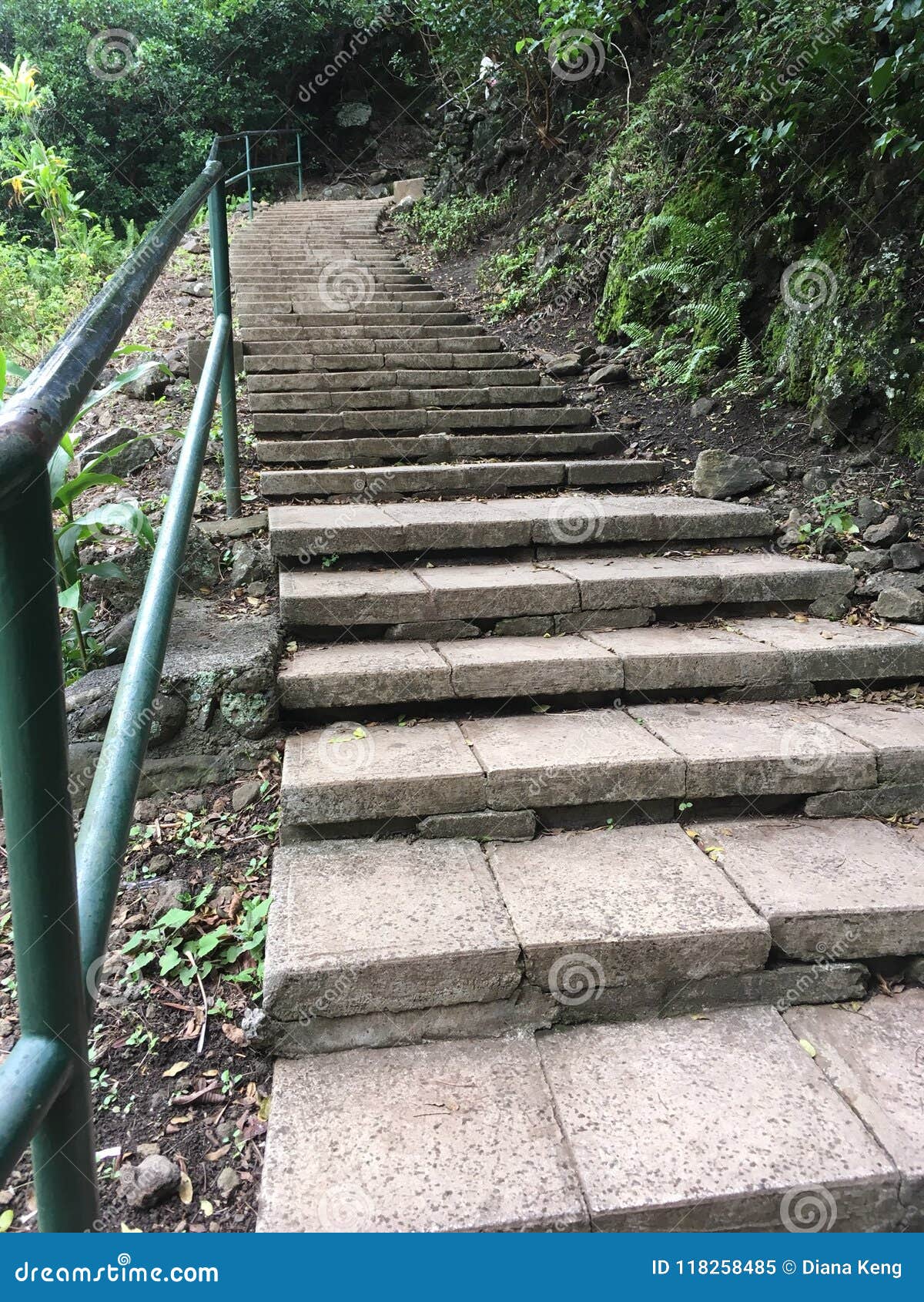 Upward stairs stock image. Image of plants, stone, railing - 118258485