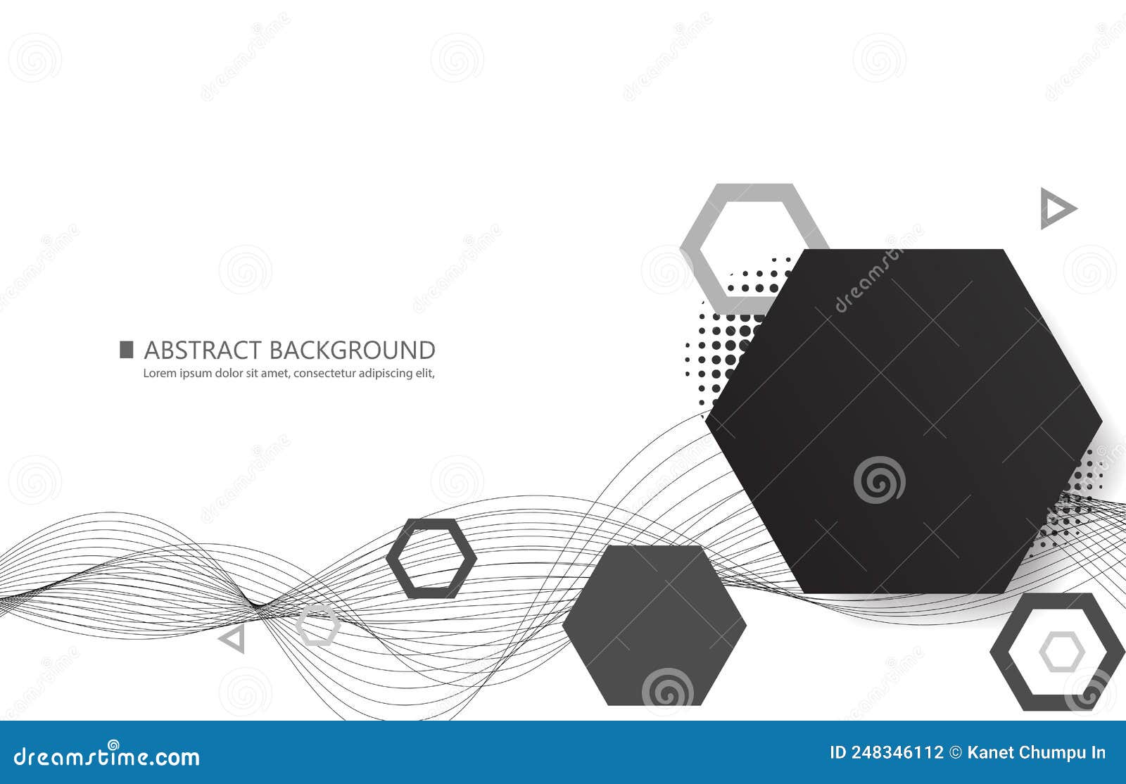 Geometric Vector Hexagon Shape.black and White Vector Background ...
