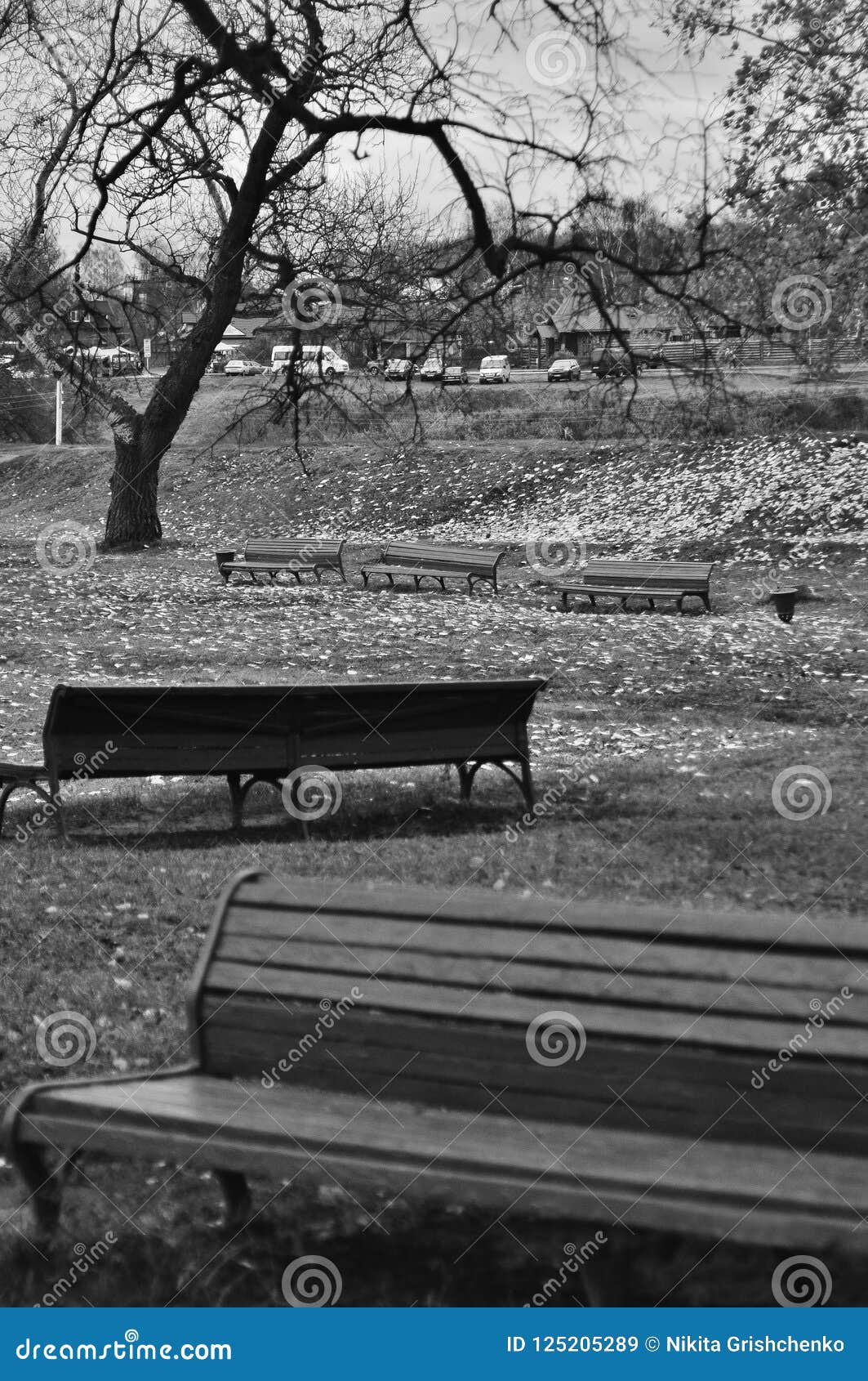 Benches Geometry in Black and White Stock Image - Image of garden ...