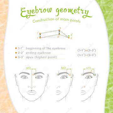 The Geometry of the Eyebrows is Basic Stock Illustration - Illustration ...