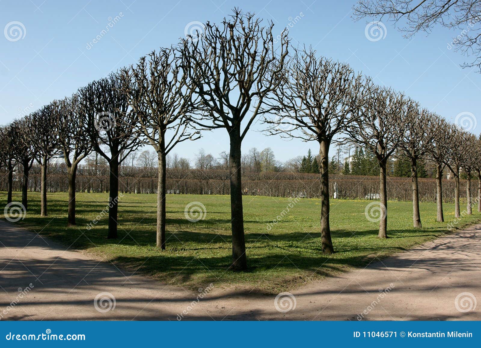 Geometry in park stock image. Image of perspective, landmark - 11046571