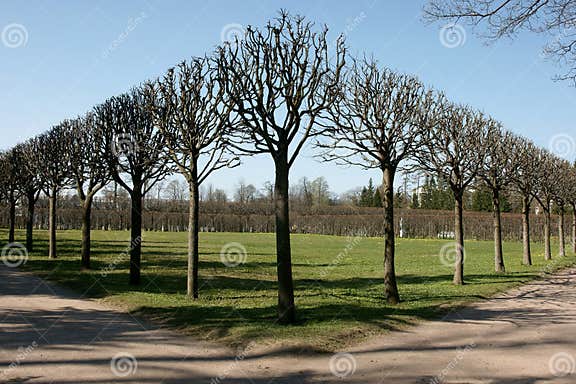 Geometry in park stock image. Image of perspective, landmark - 11046571