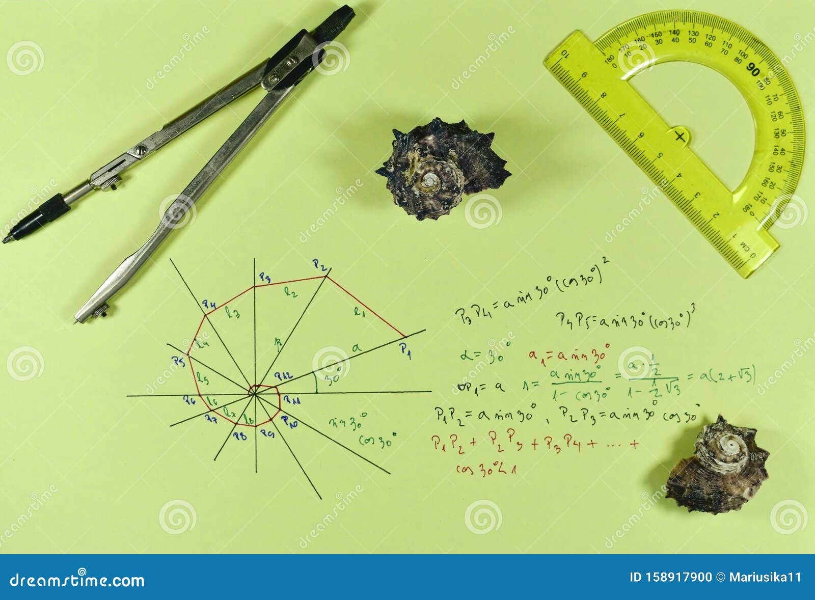 Geometry of a Shell with Compass Stock Photo - Image of project ...