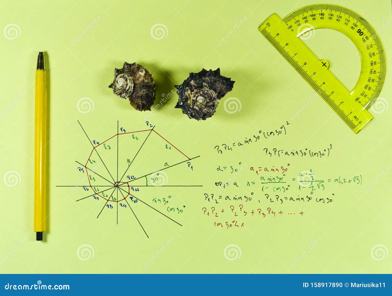 Geometry of a Shell with Pen and Ruler Stock Photo - Image of ...
