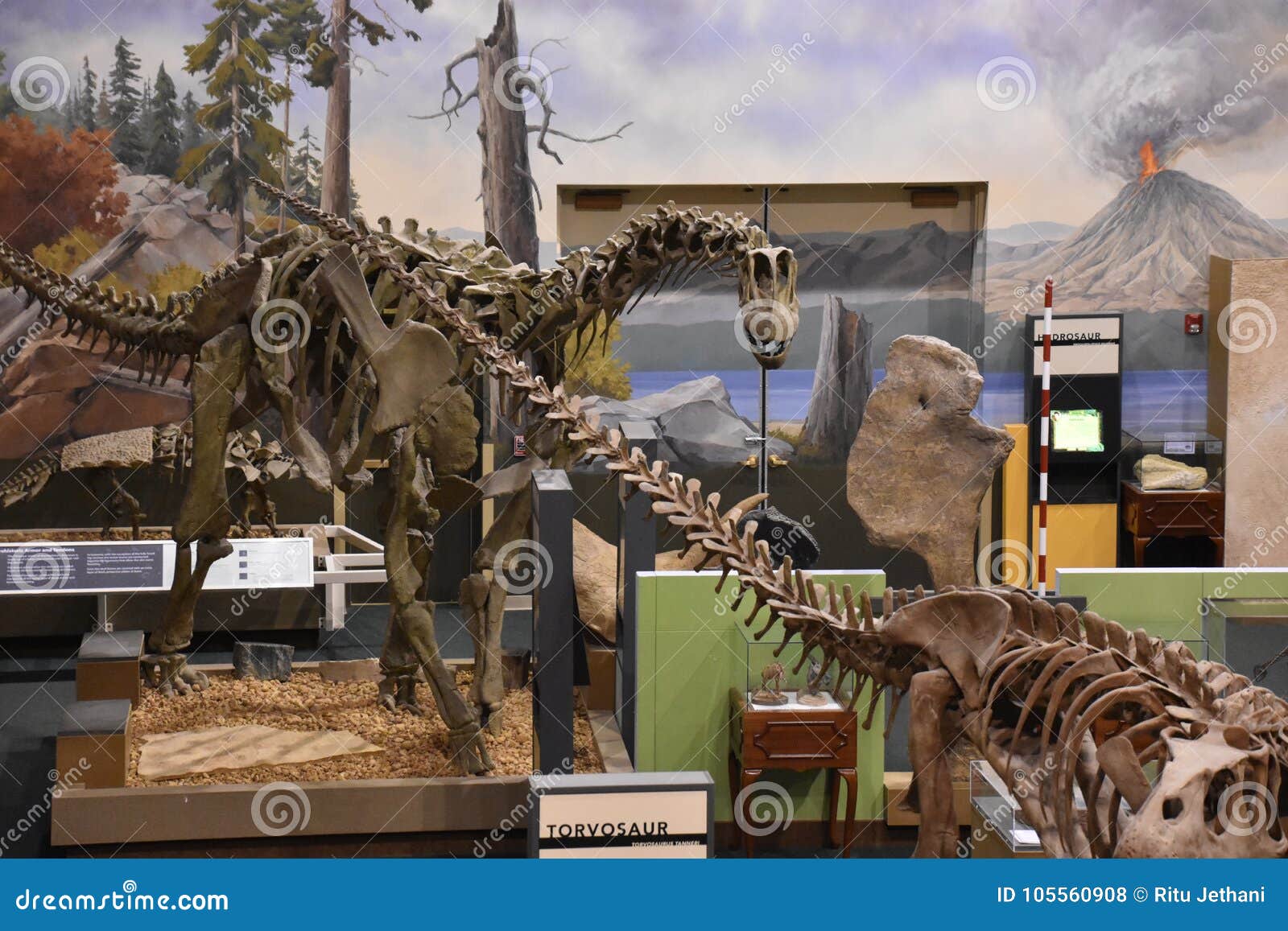 George S. Eccles Dinosaur Park in Ogden, Utah Editorial Stock Photo ...