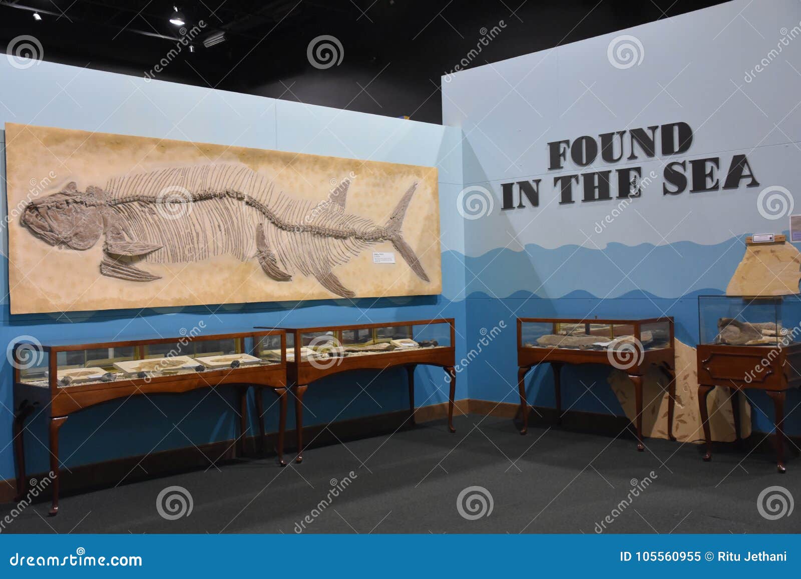 George S. Eccles Dinosaur Park in Ogden, Utah Editorial Image - Image ...