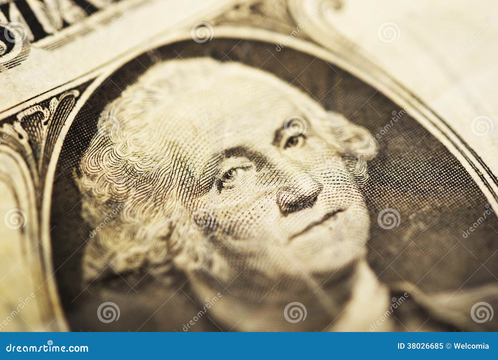 George Washington Dollar Bill Immagine Stock - Immagine di ...