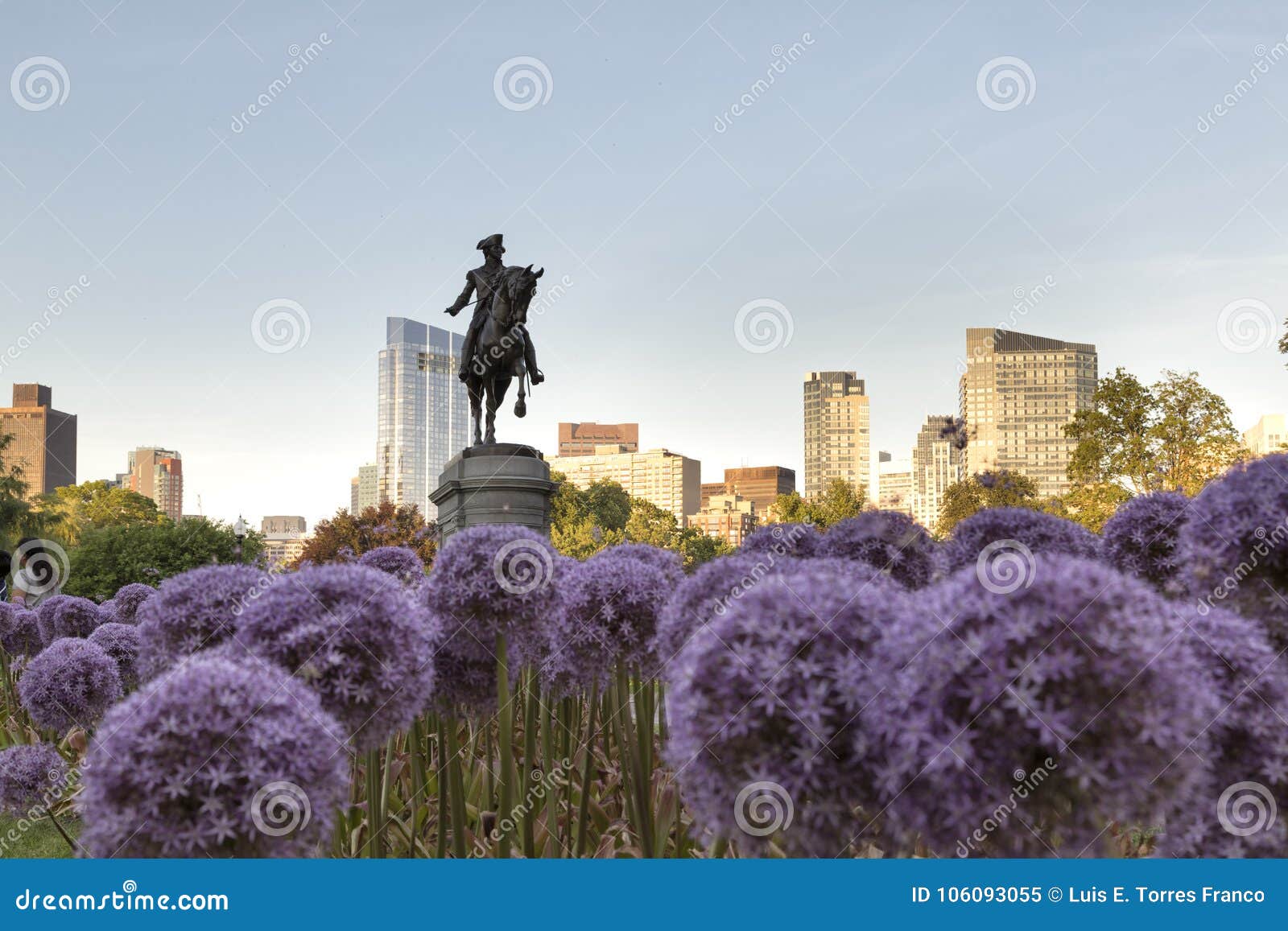 George Washington Statue with Garlic Flowers Editorial Image - Image of ...