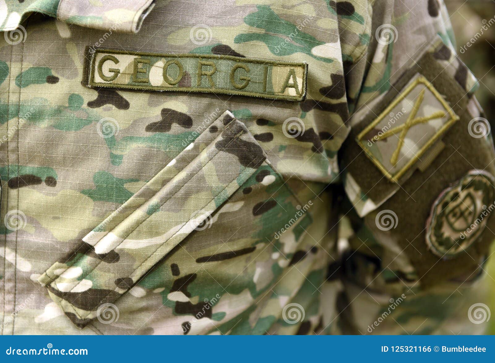 Georgia Army Uniform. Georgian Troops Stock Photo - Image of russia ...