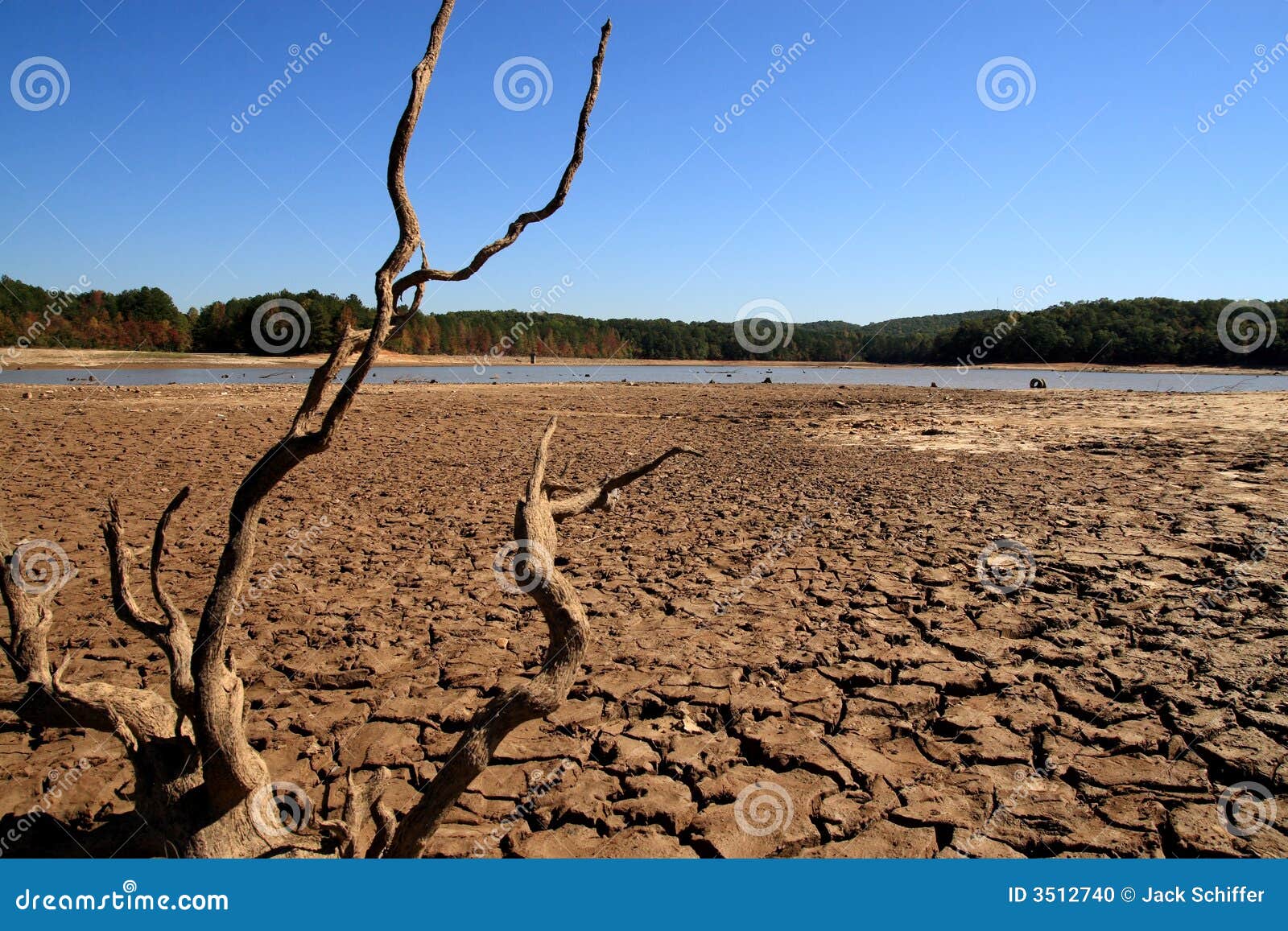 Georgia Drought stock photo. Image of land, background - 3512740