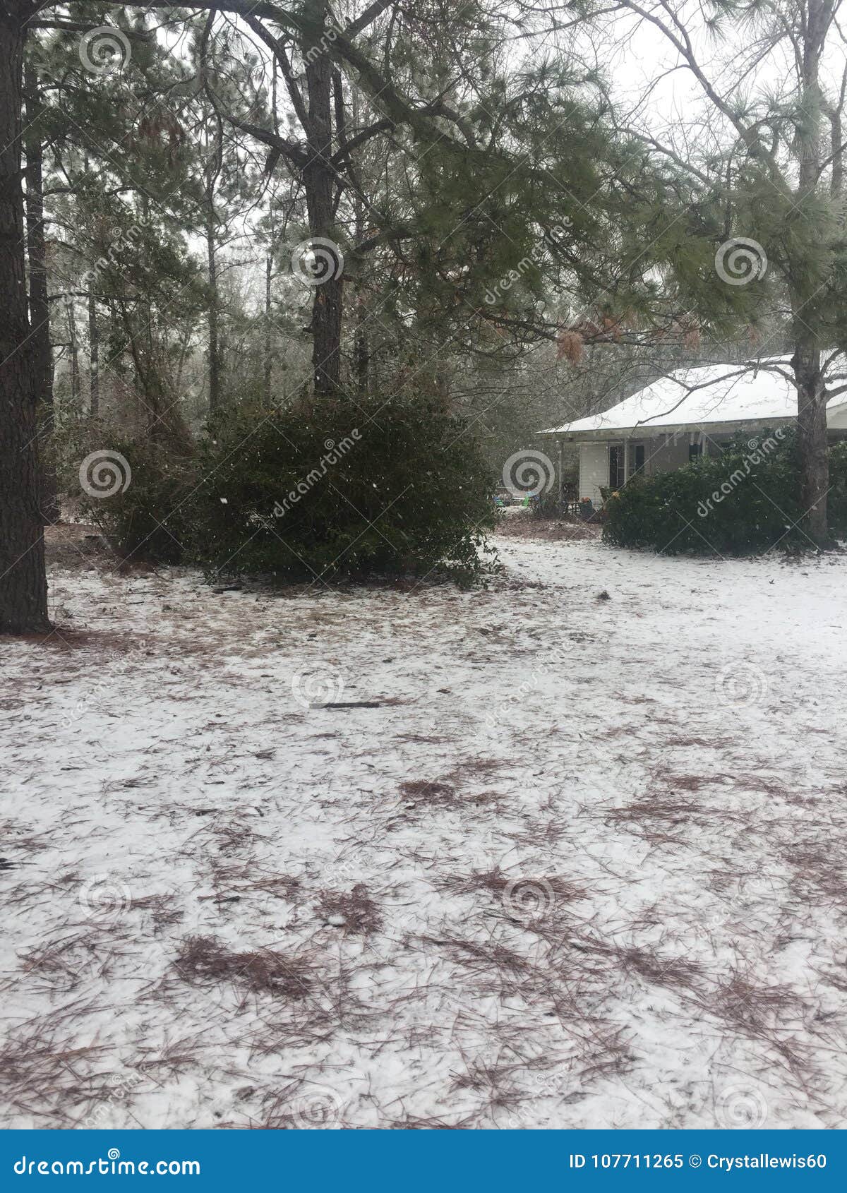 Georgia snow day stock image. Image of winter, snow - 107711265