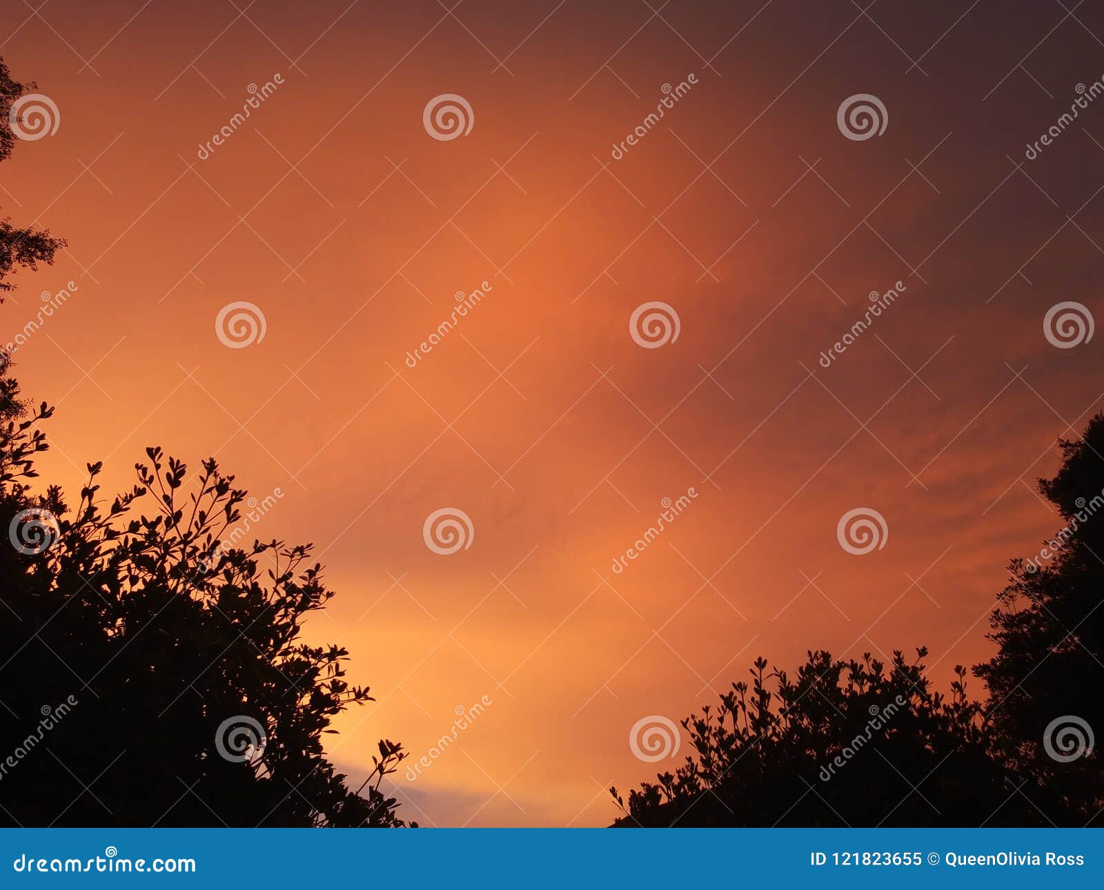 Georgia Sunset stock image. Image of thunderstorm, sunset - 121823655