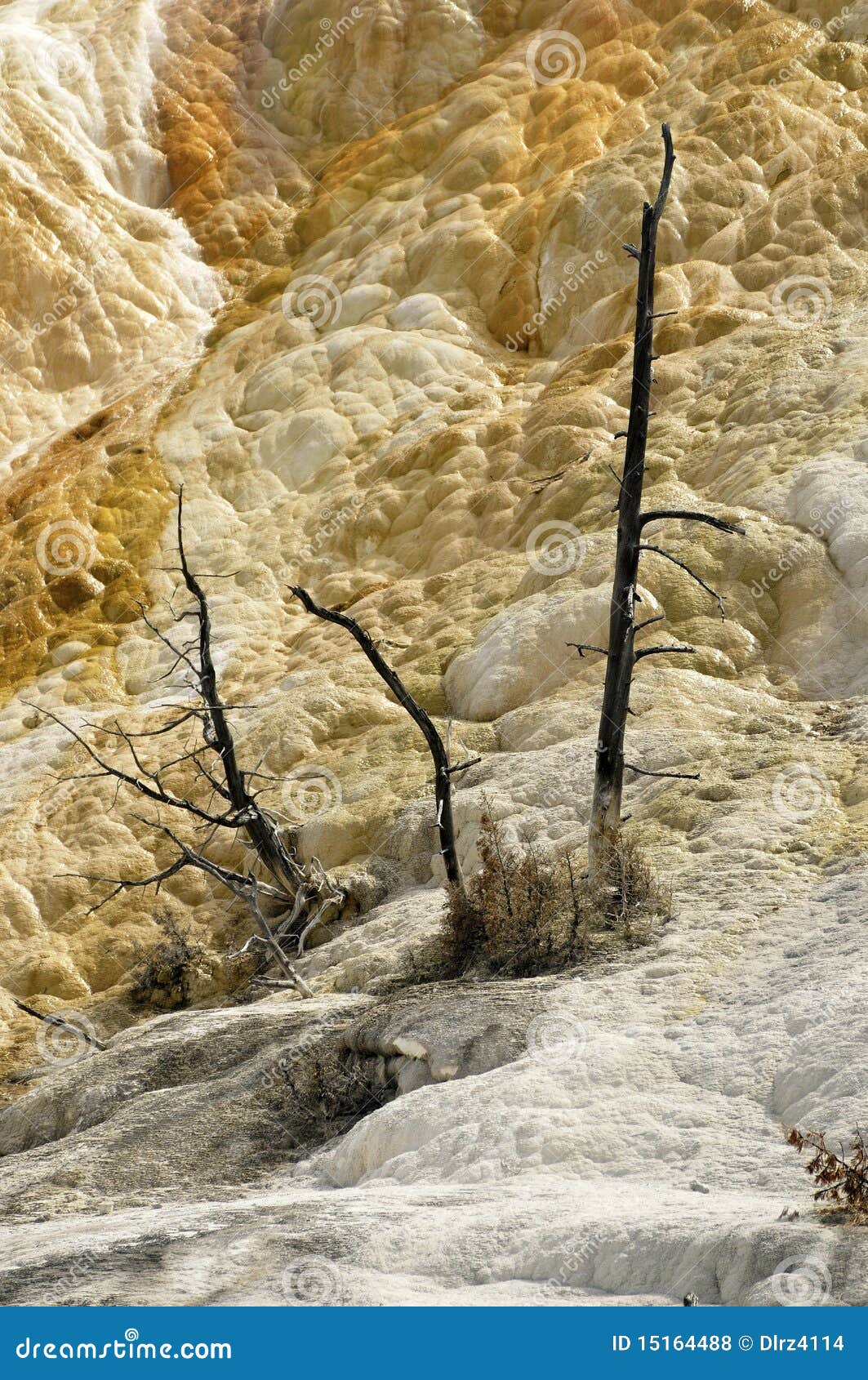 Geothermal Formation stock photo. Image of mammoth, rock - 15164488