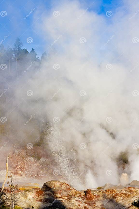 Geothermal Geyser Exploding Stock Photo - Image of tourism, park: 29177766