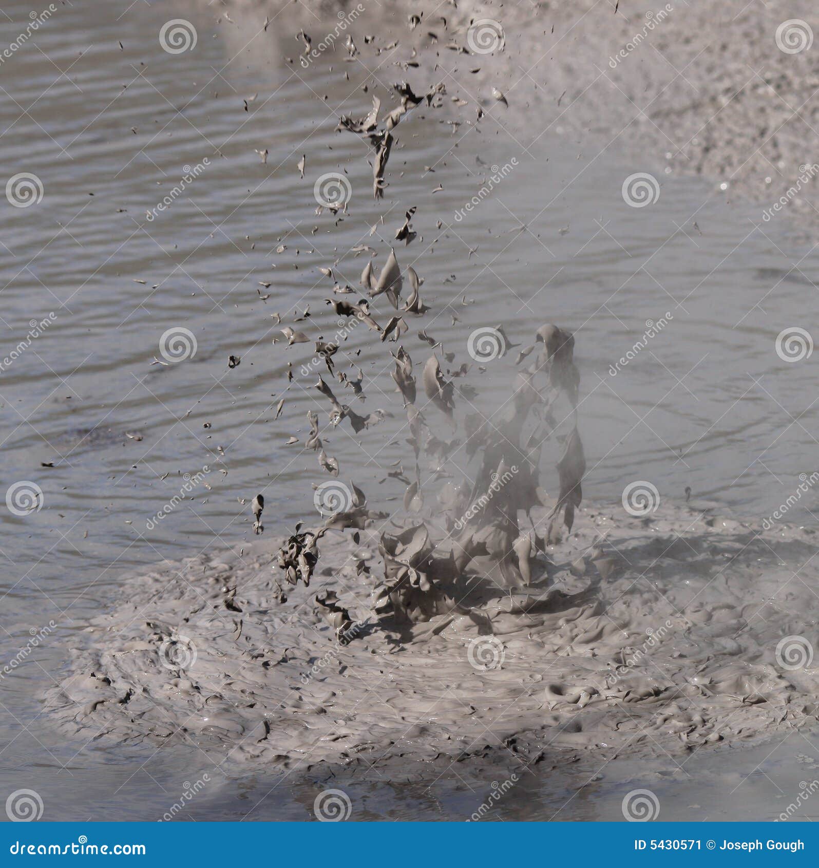 Geothermal Mud Exploding stock image. Image of roturua - 5430571