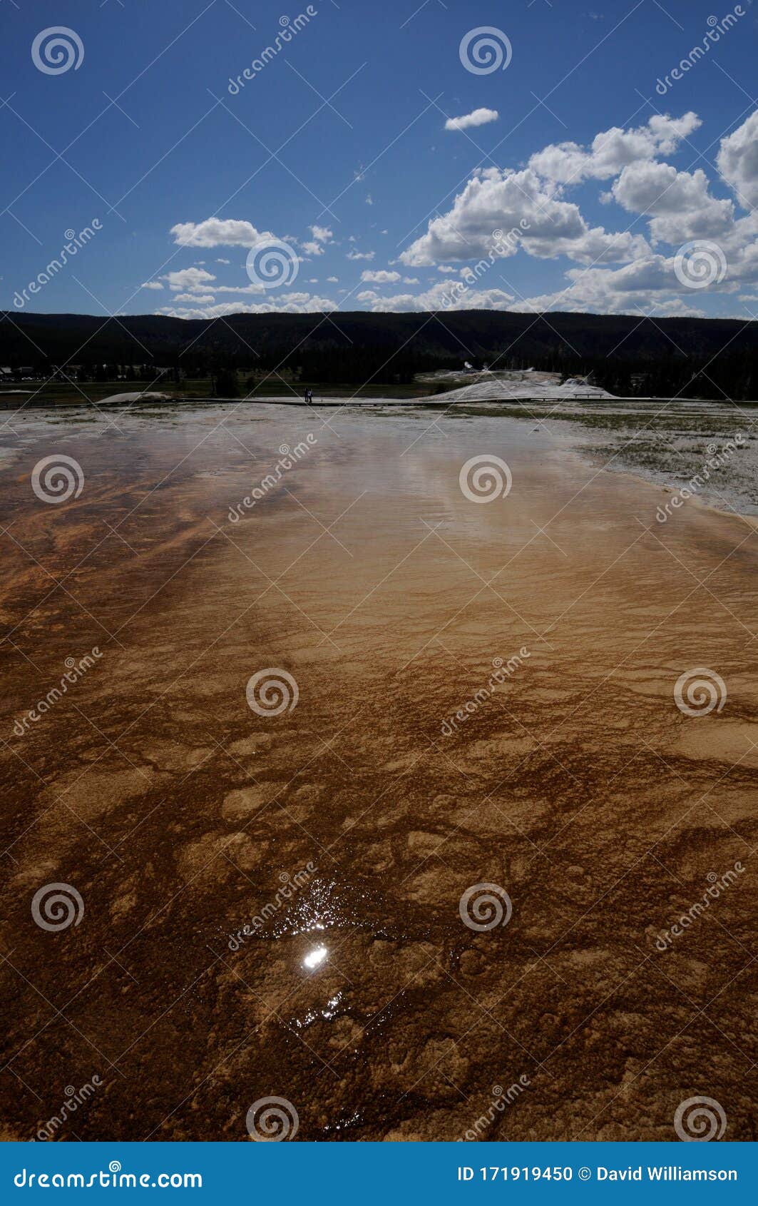 Geothermal Spring in Yellowstone National Park Stock Photo - Image of ...
