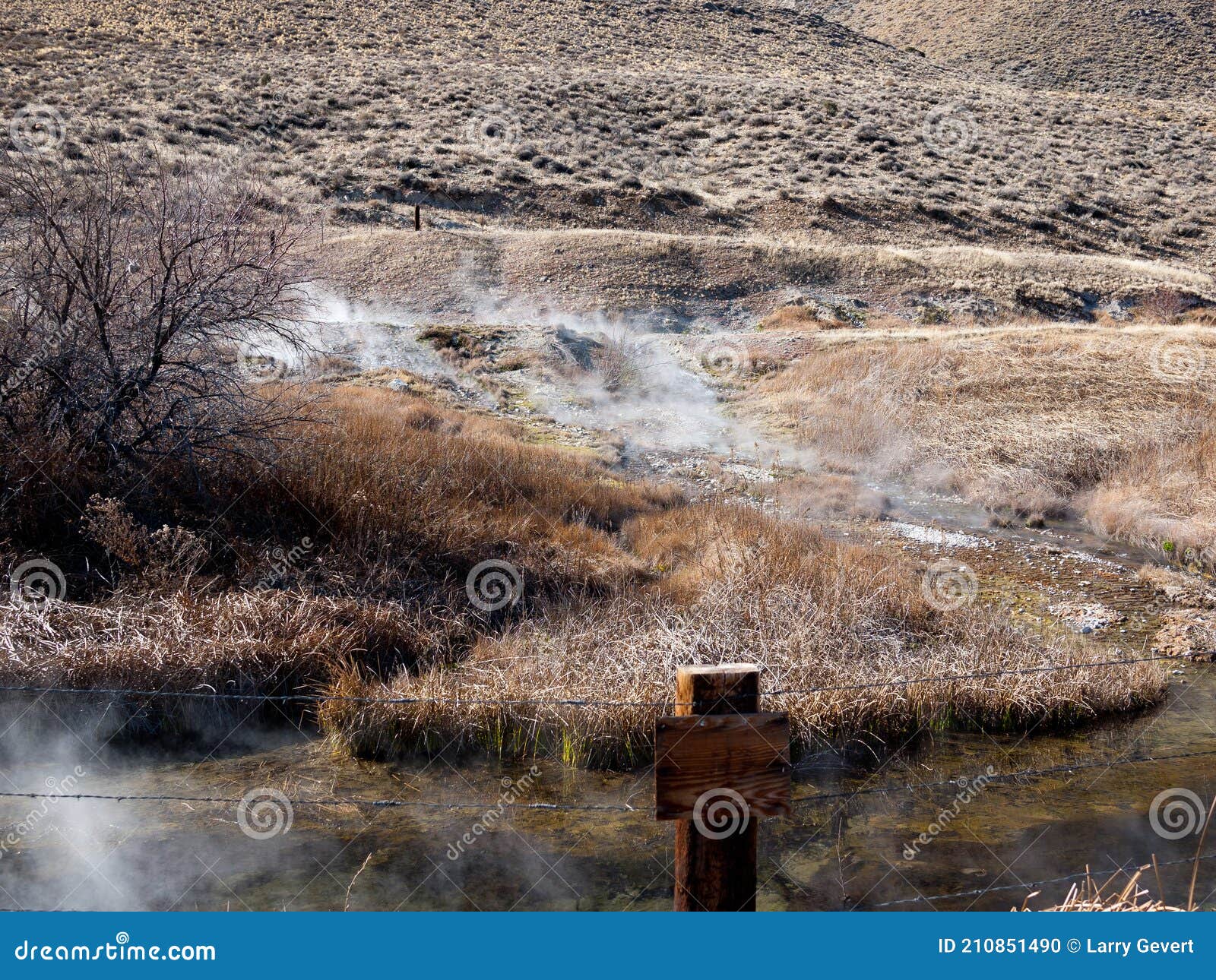 Geothermal Vent Runoff Stream in Northern Nevada Stock Photo - Image of ...