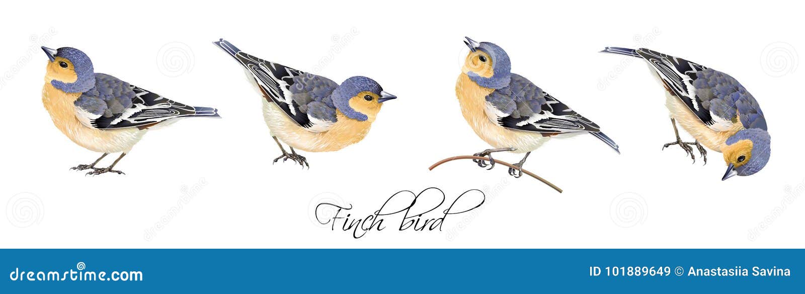 Vink Stock Illustrations, Vectors, & Clipart – (4,098 Stock Illustrations)