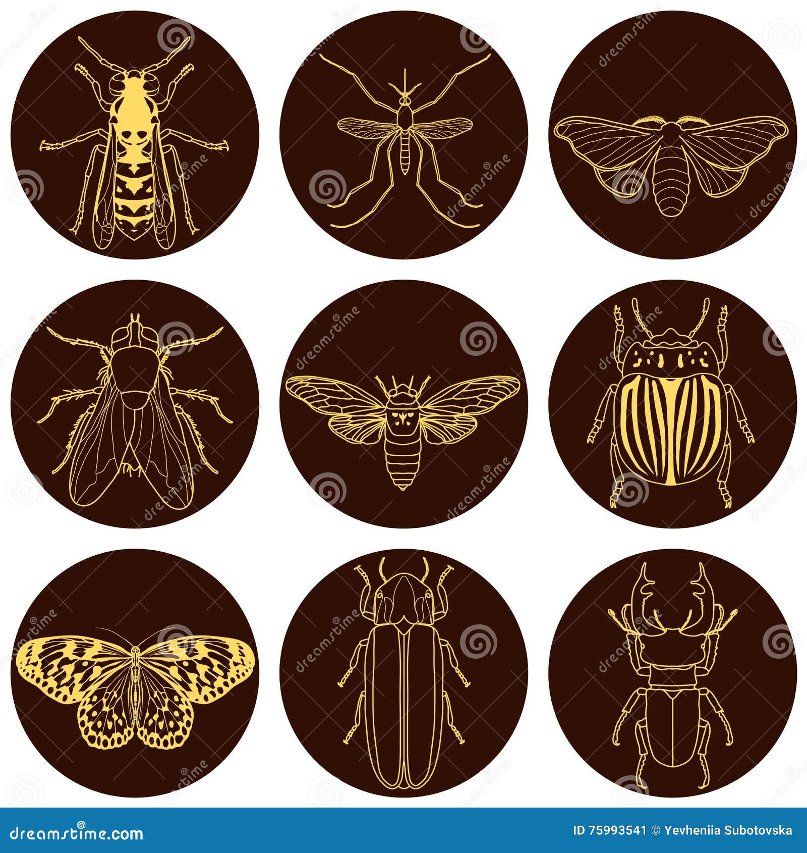 Geplaatste De Pictogrammen Van Het Insect Vector Illustratie ...