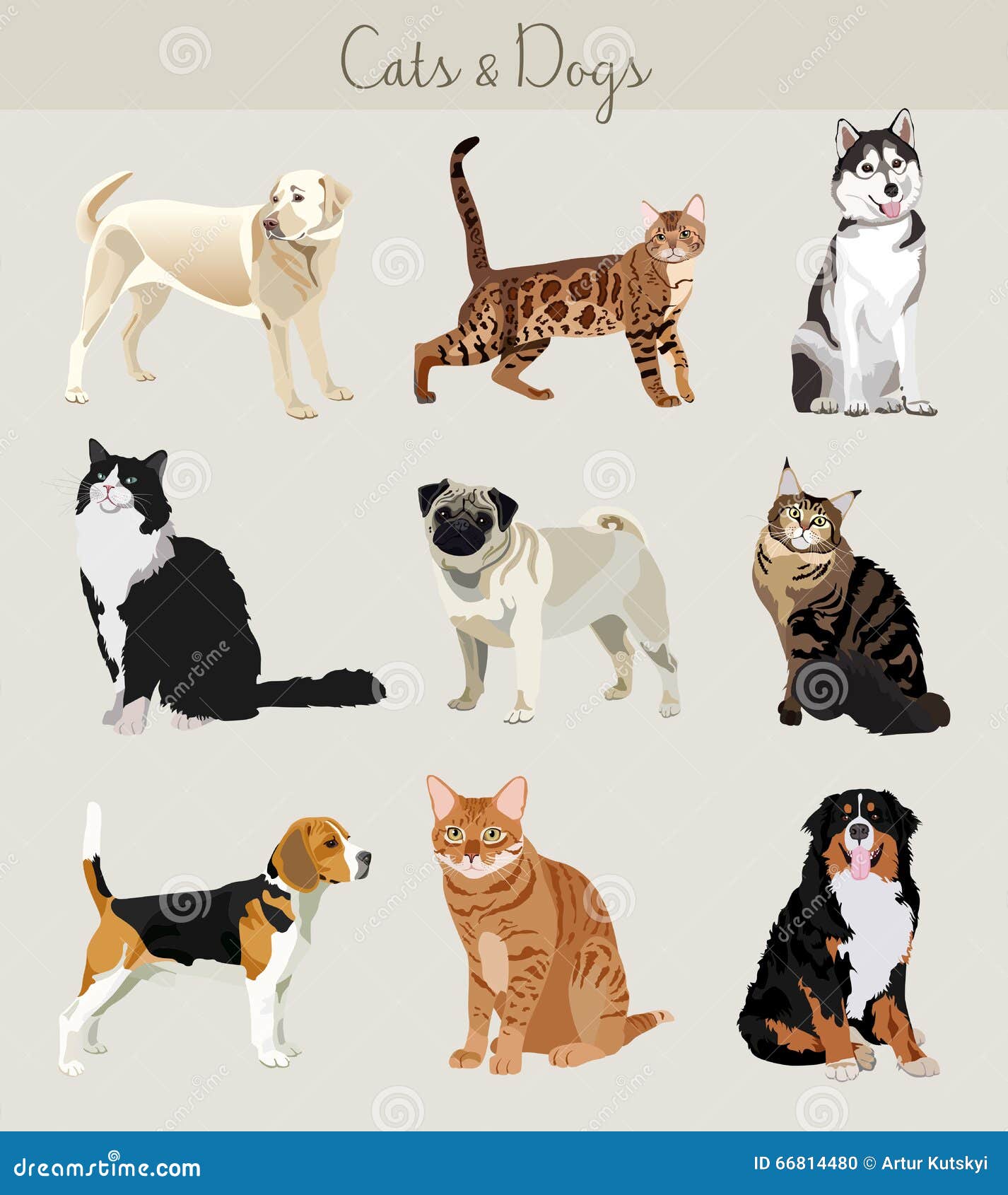 Geplaatste Honden En Katten Verschillende Types Vector Illustratie ...
