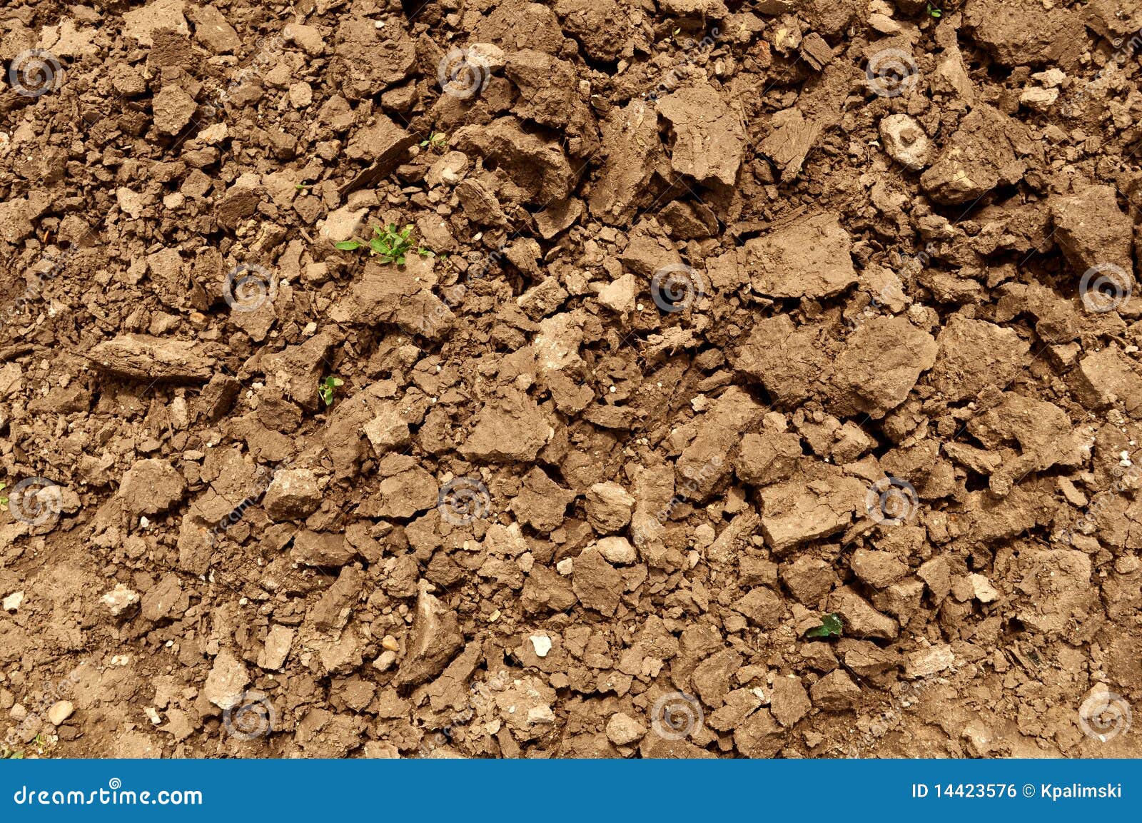 Geploegd De Grond Vers Van Het Vuil Stock Foto - Image of vloer, vuil ...