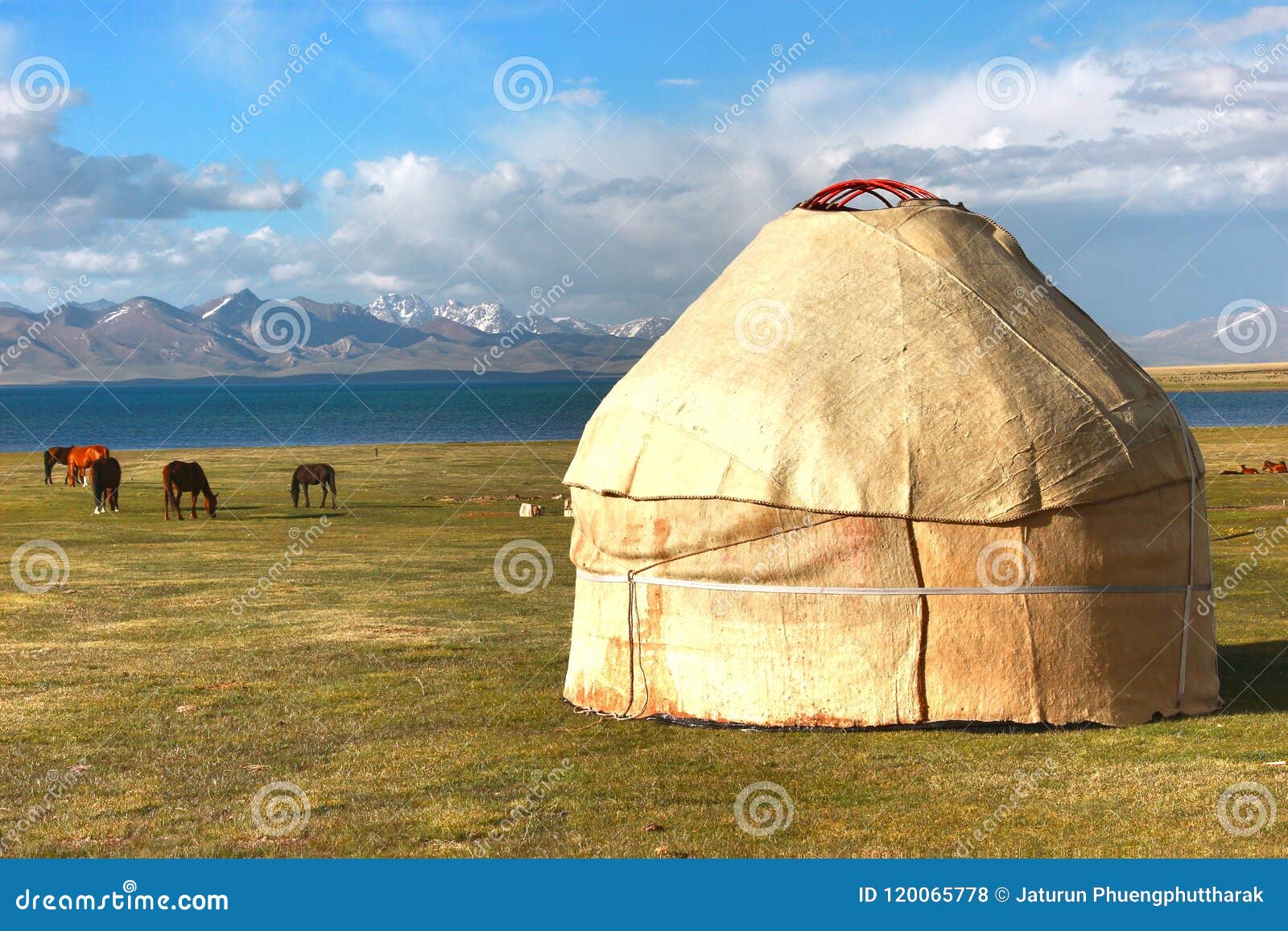 The Ger Camp In A Large Meadow At Ulaanbaatar , Mongolia Royalty-Free ...