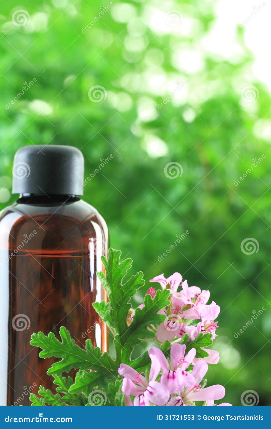 Geranium essential oil stock image. Image of alternative - 31721553