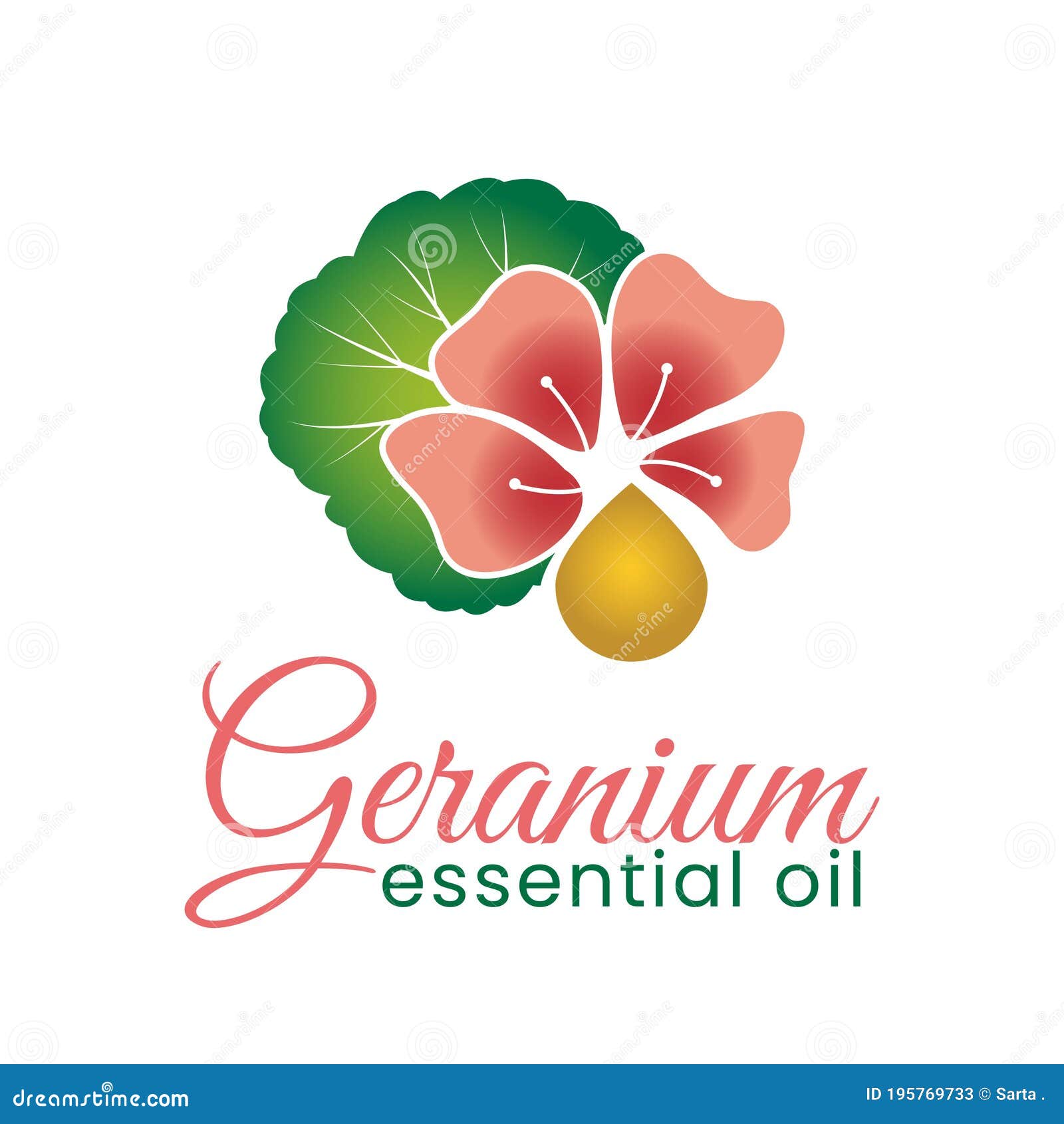 Geranium Essential Oil Logo Vector Template Stock Vector - Illustration ...