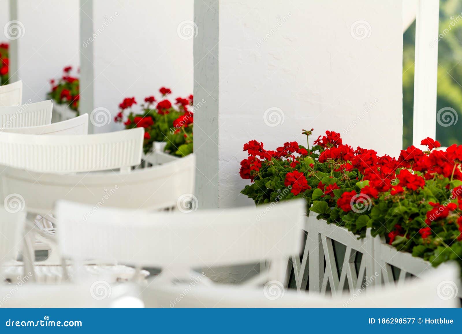 Geranium Flowers on Balcony at Restaurant Stock Image - Image of ...