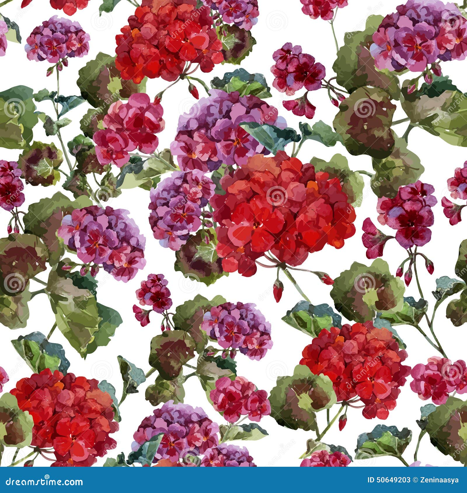 Geranium pattern stock vector. Illustration of drawn - 50649203