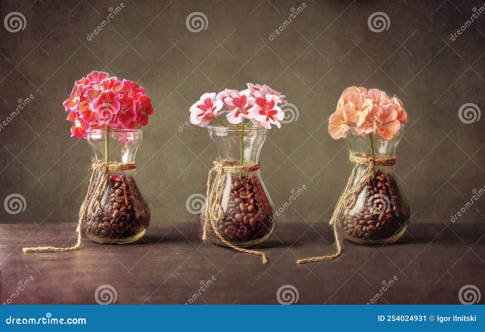 Geranium Standing in a Vase with Coffee on the Table. Still Life Stock ...