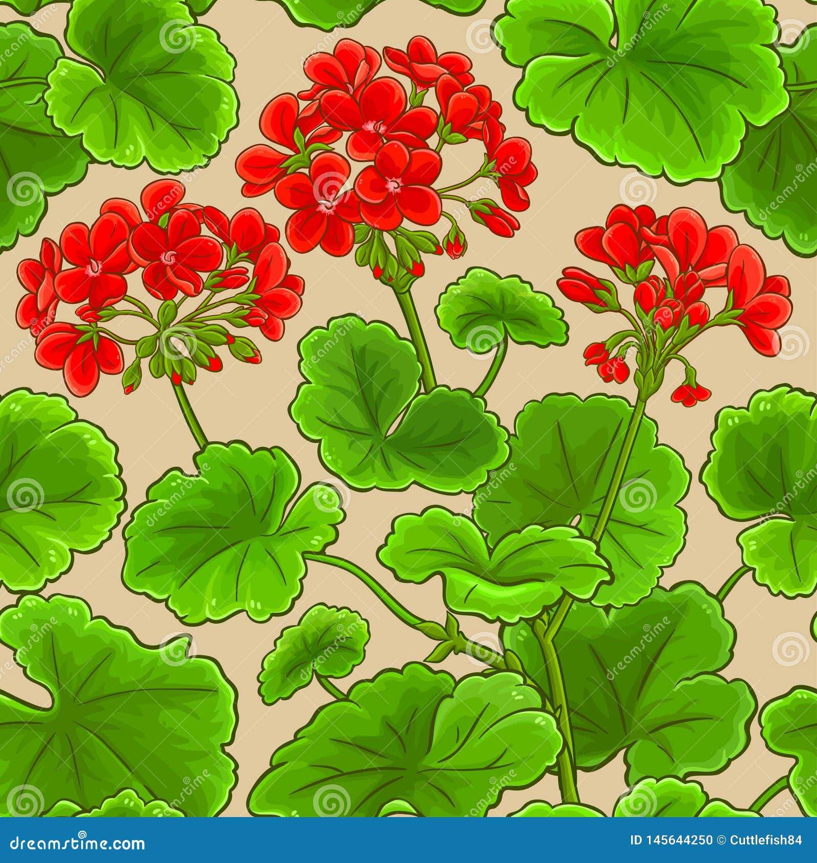 Geranium. Vector Floral Set On A White Background. Botanical Ill ...