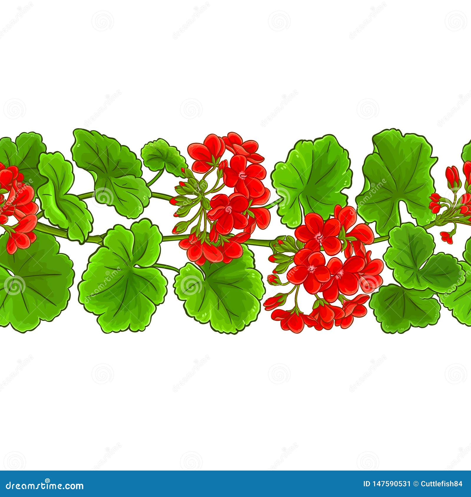 Geranium. Vector Floral Set On A White Background. Botanical Ill ...