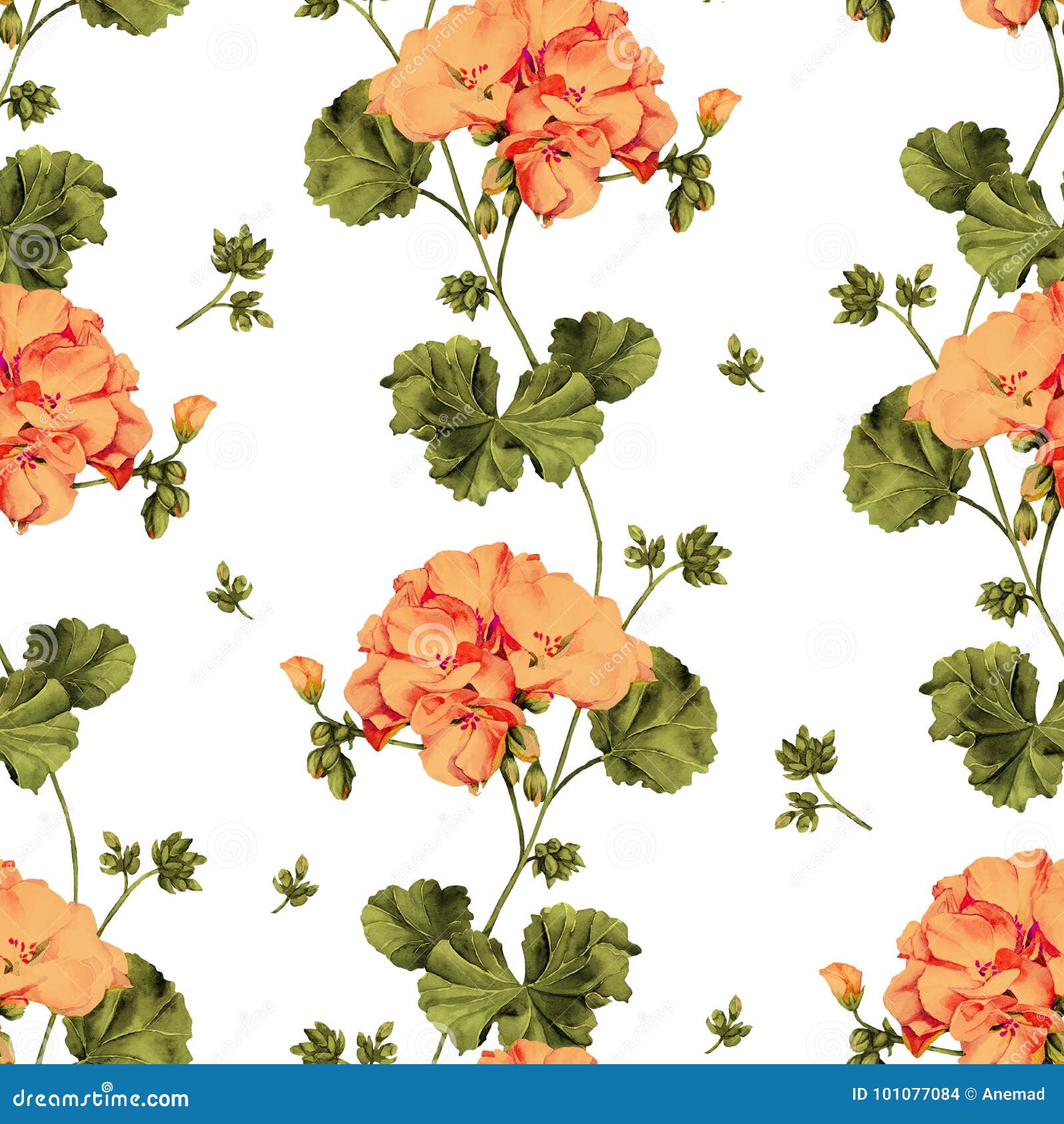 Geranium Watercolor Seamless Pattern Stock Illustration - Illustration ...