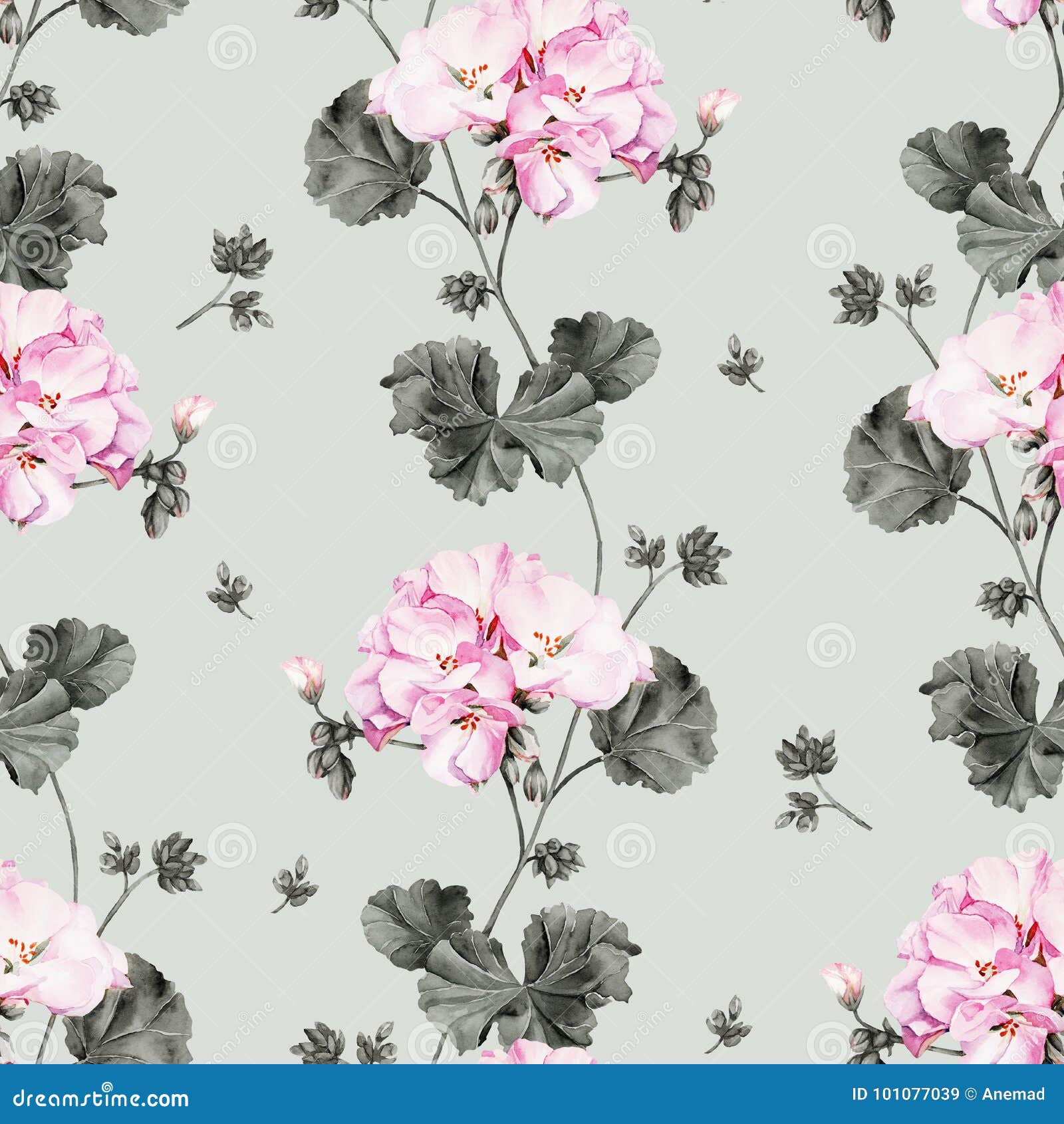 Geranium Watercolor Flower Seamless Pattern Stock Illustration ...