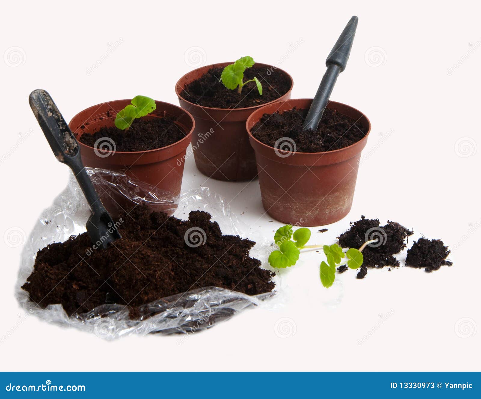 332 Potting Process Stock Photos - Free & Royalty-Free Stock Photos ...