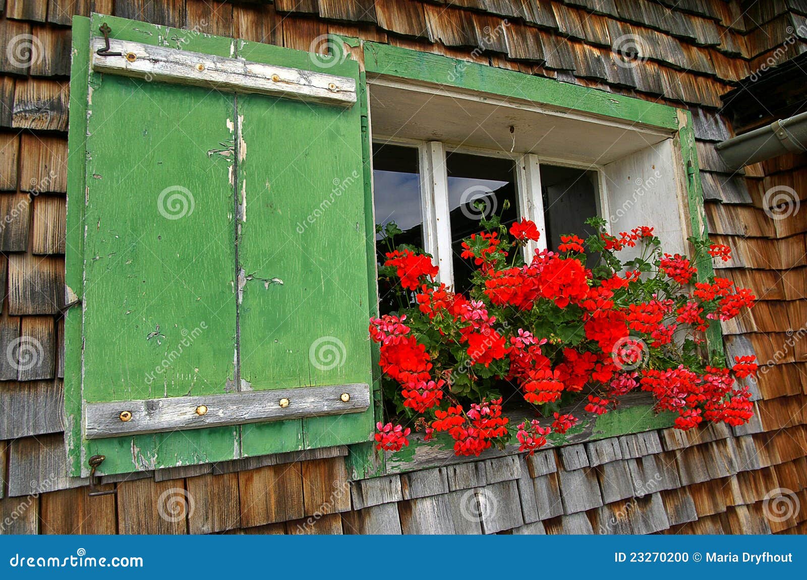 Geraniums in window box stock photo. Image of geranium - 23270200