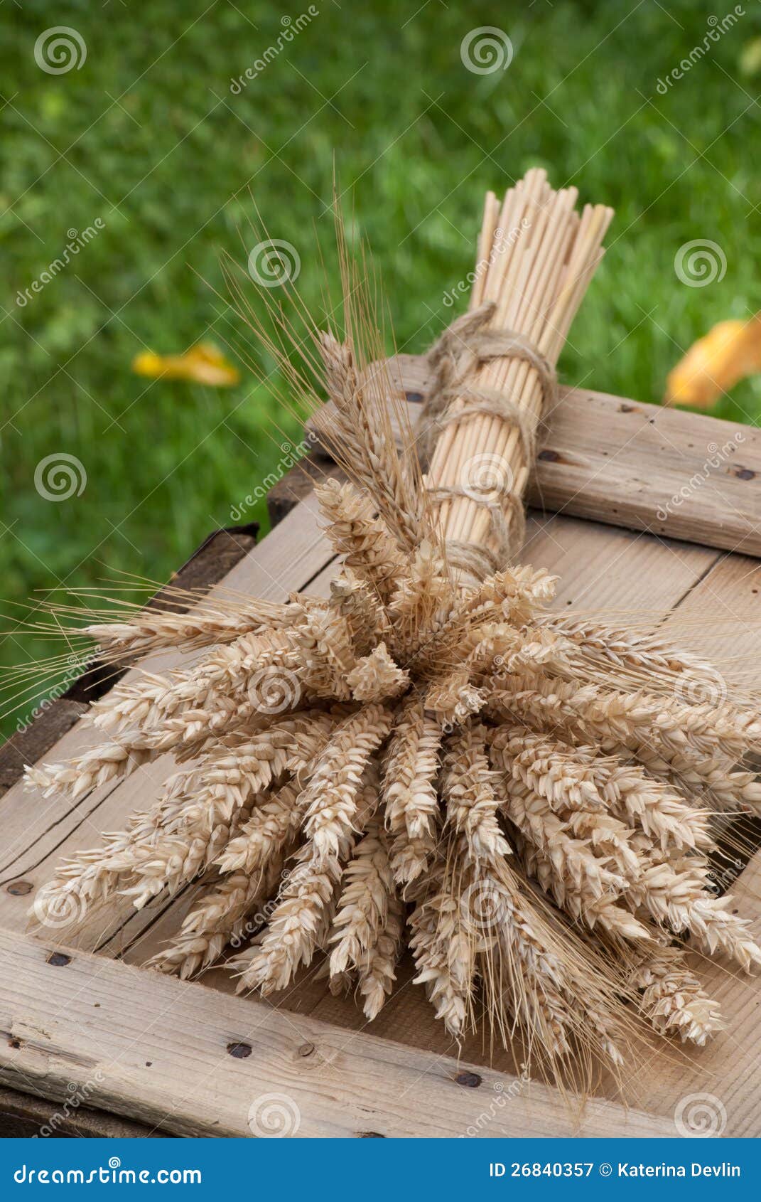 Gerbe de blé image stock. Image du gerbe, mûr, maïs, affermage - 26840357
