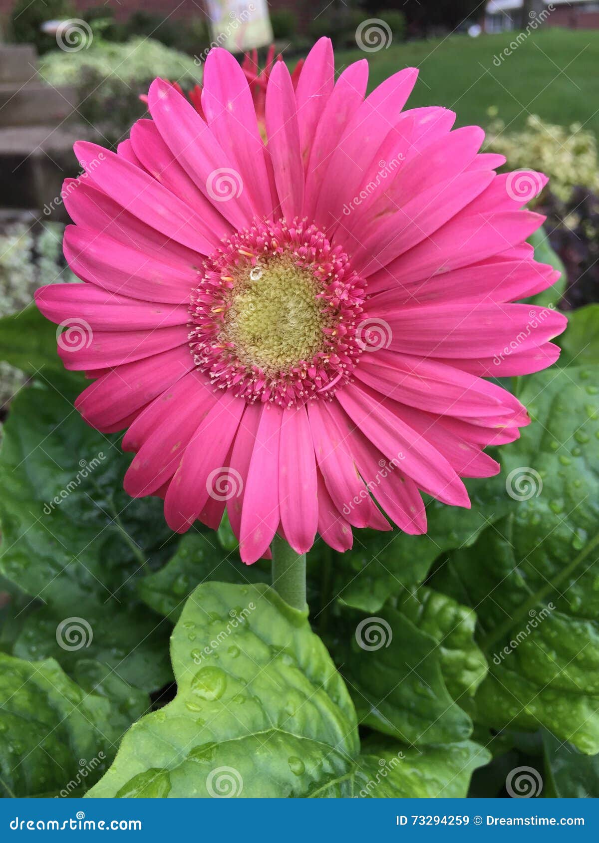 Stop Bad Smell. Side View Of Confused Brunette Man Holding Breath With ...