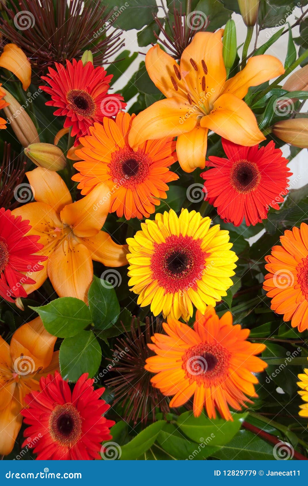 Gerber floral arrangement stock image. Image of gerbers - 12829779