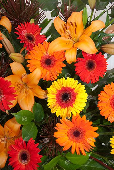 Gerber floral arrangement stock image. Image of gerbers - 12829779