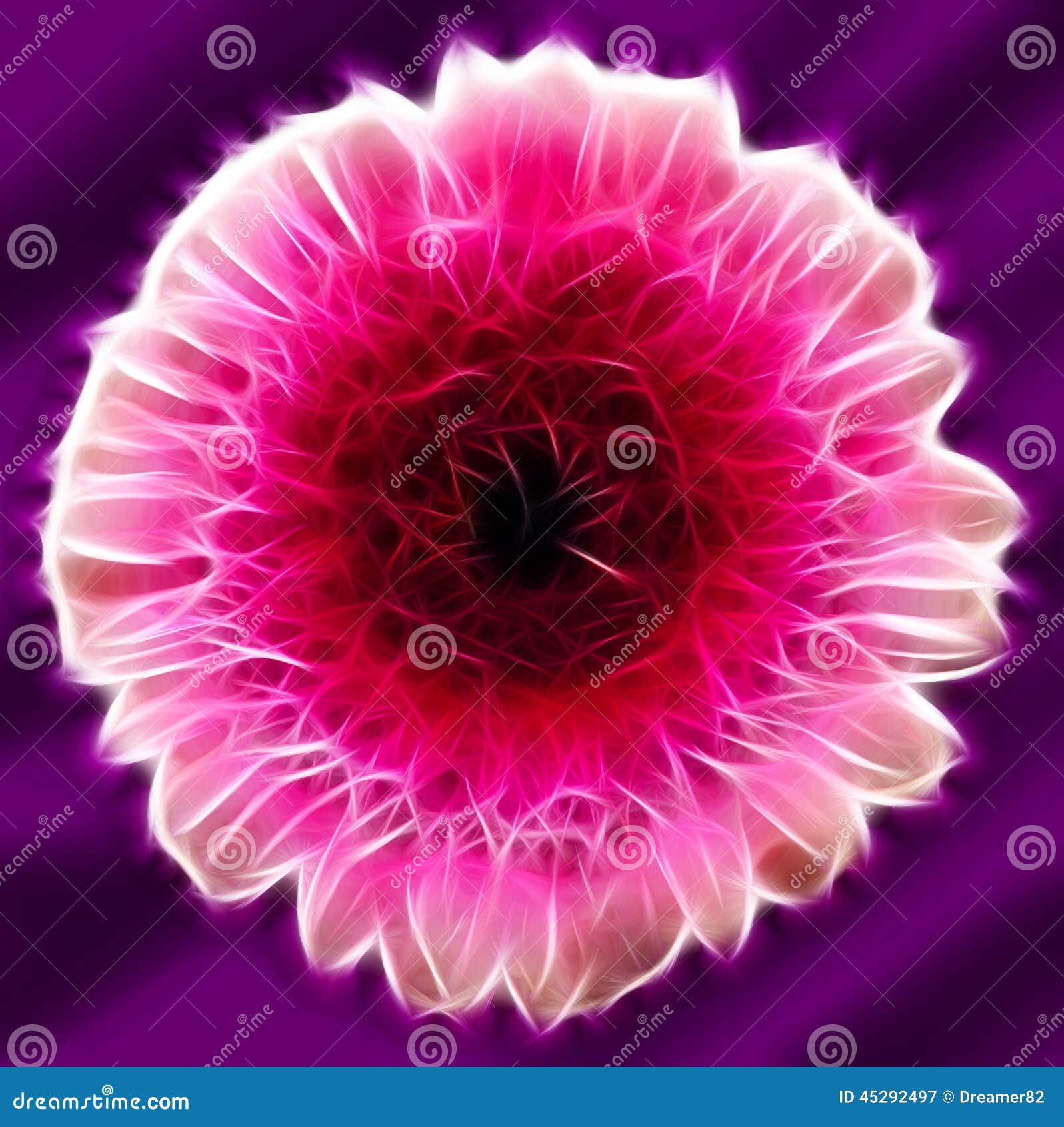 Gerber Flower Infinity Spiral Abstract Background Stock Photography ...