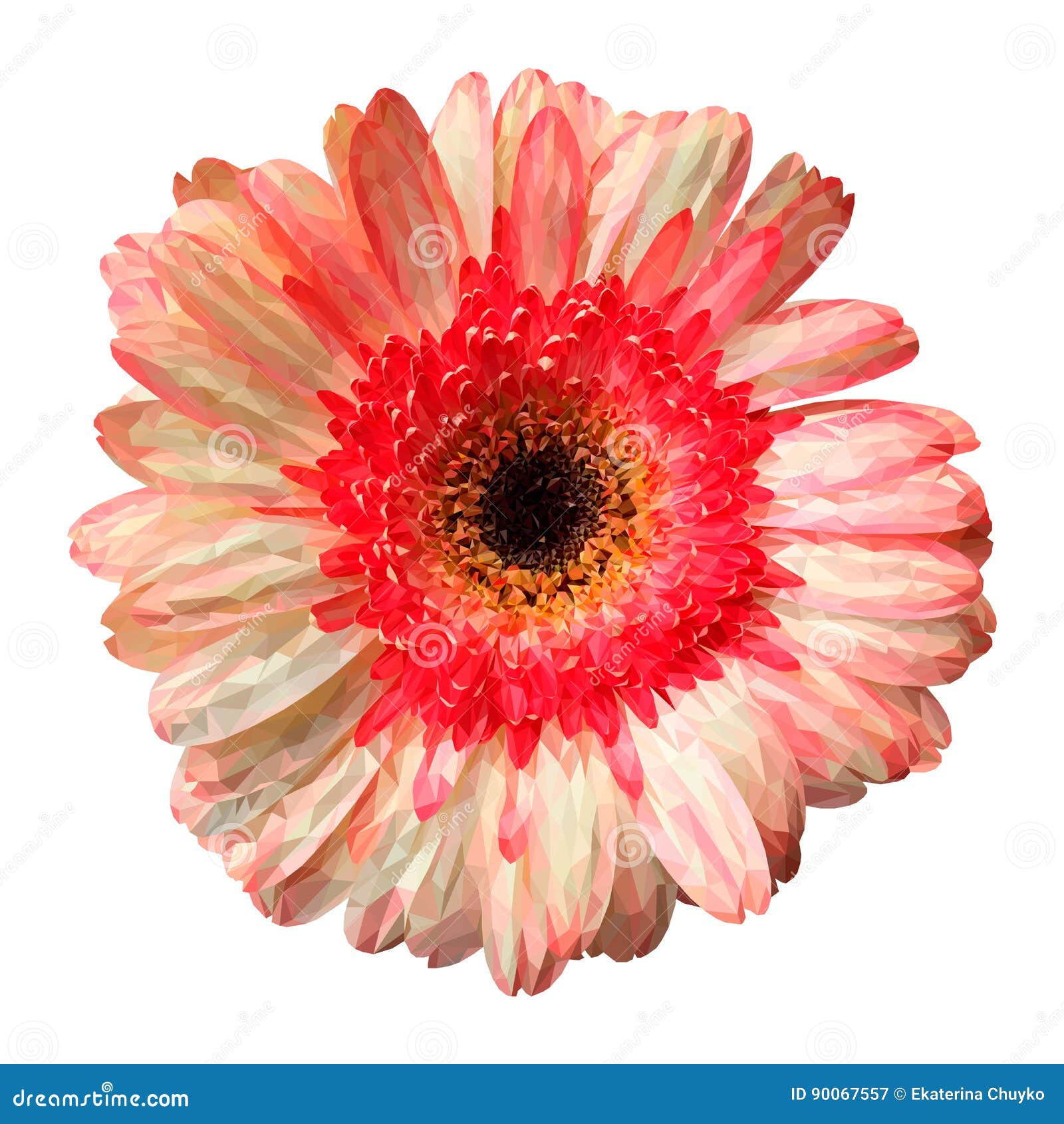 Gerber. stock vector. Illustration of card, design, floral - 90067557